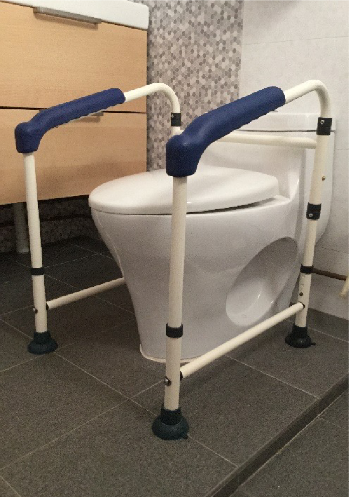 MiSSYCARE Bathroom Safety Rail | Plexus Care Official Website